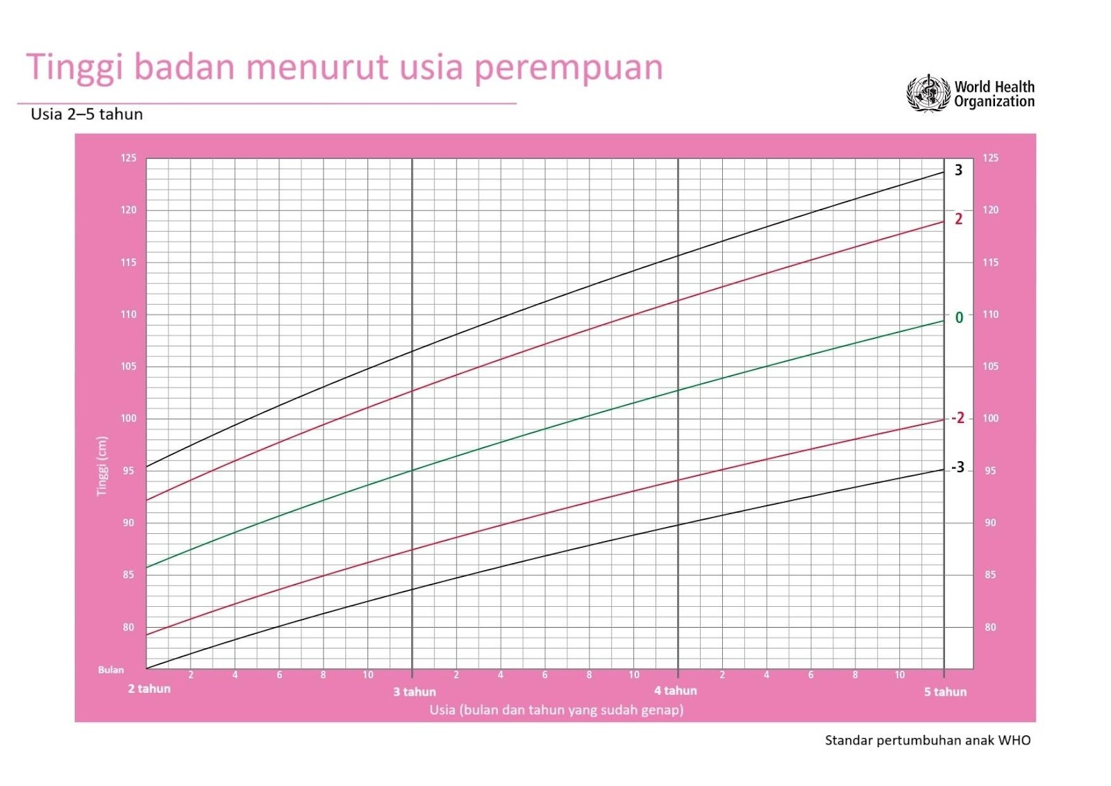 Tinggi Badan Anak Ideal Usia 1-5 Tahun Menurut WHO